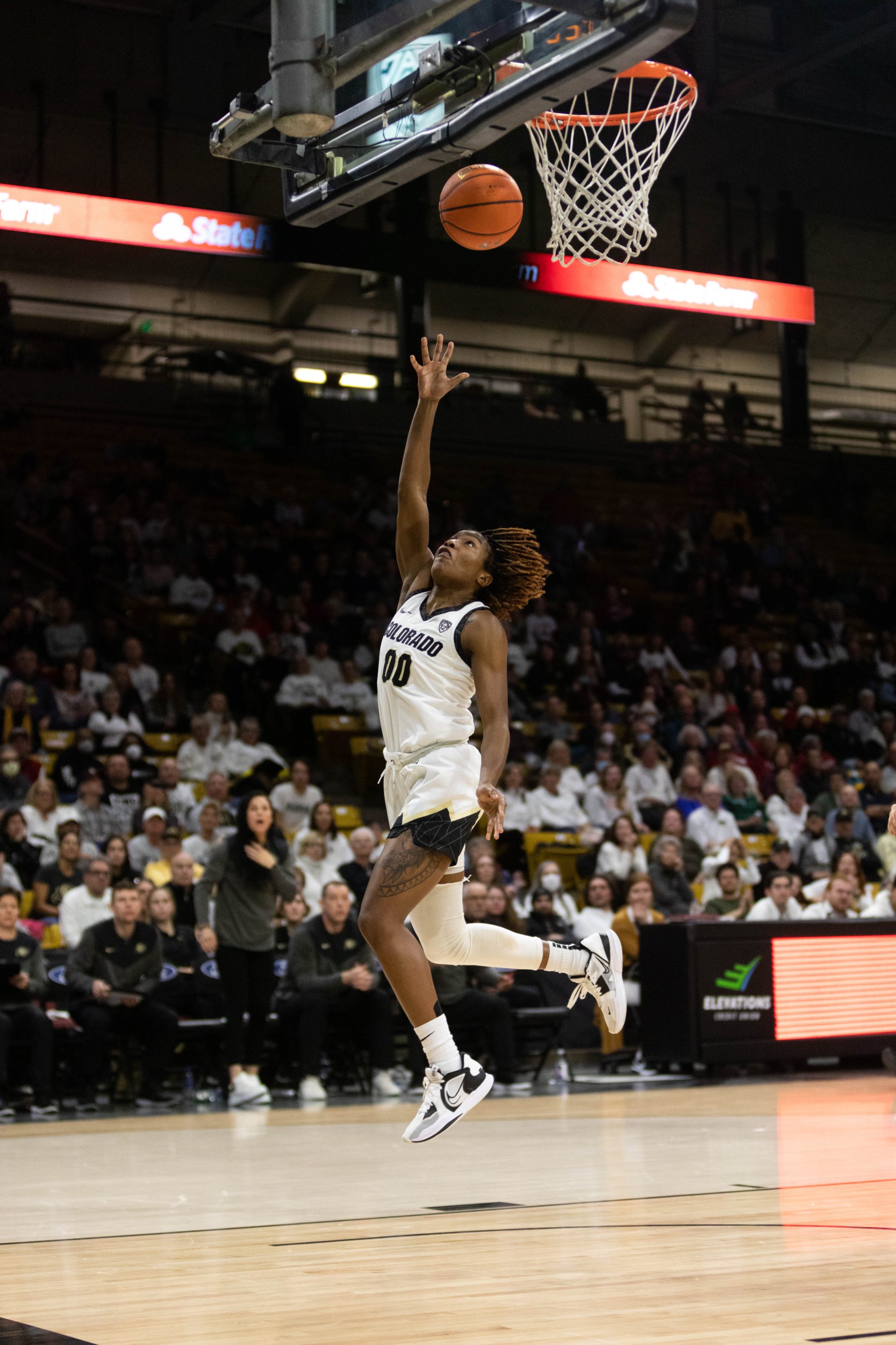 Forever changed: How the 2022-23 basketball season set the standard for ...