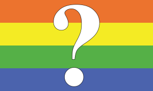 Why the Questioning Flag Matters in LGBTQIA+ Culture? - CU Independent