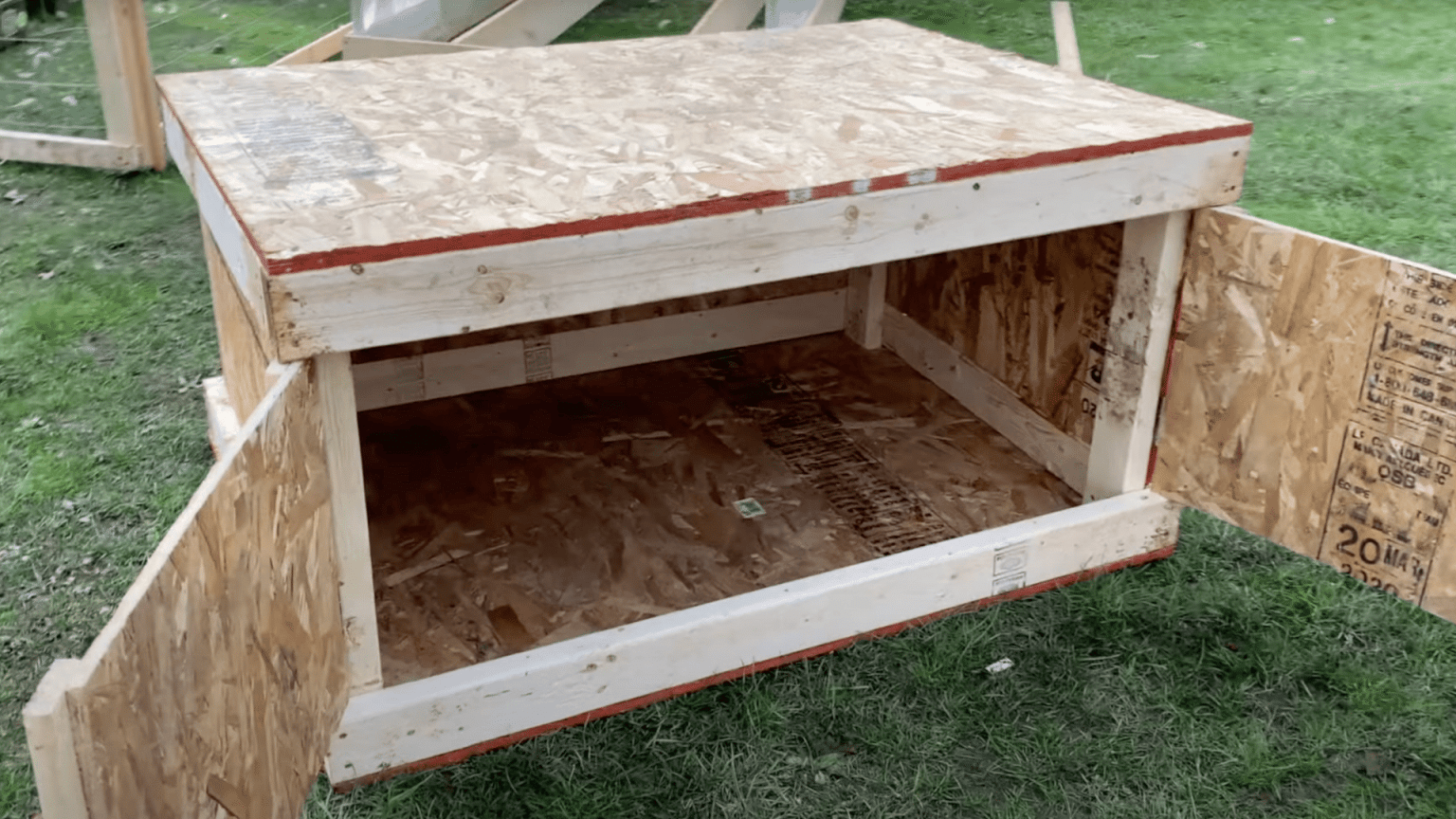 DIY Duck House: Build a Safe Duck Shelter - CU Independent
